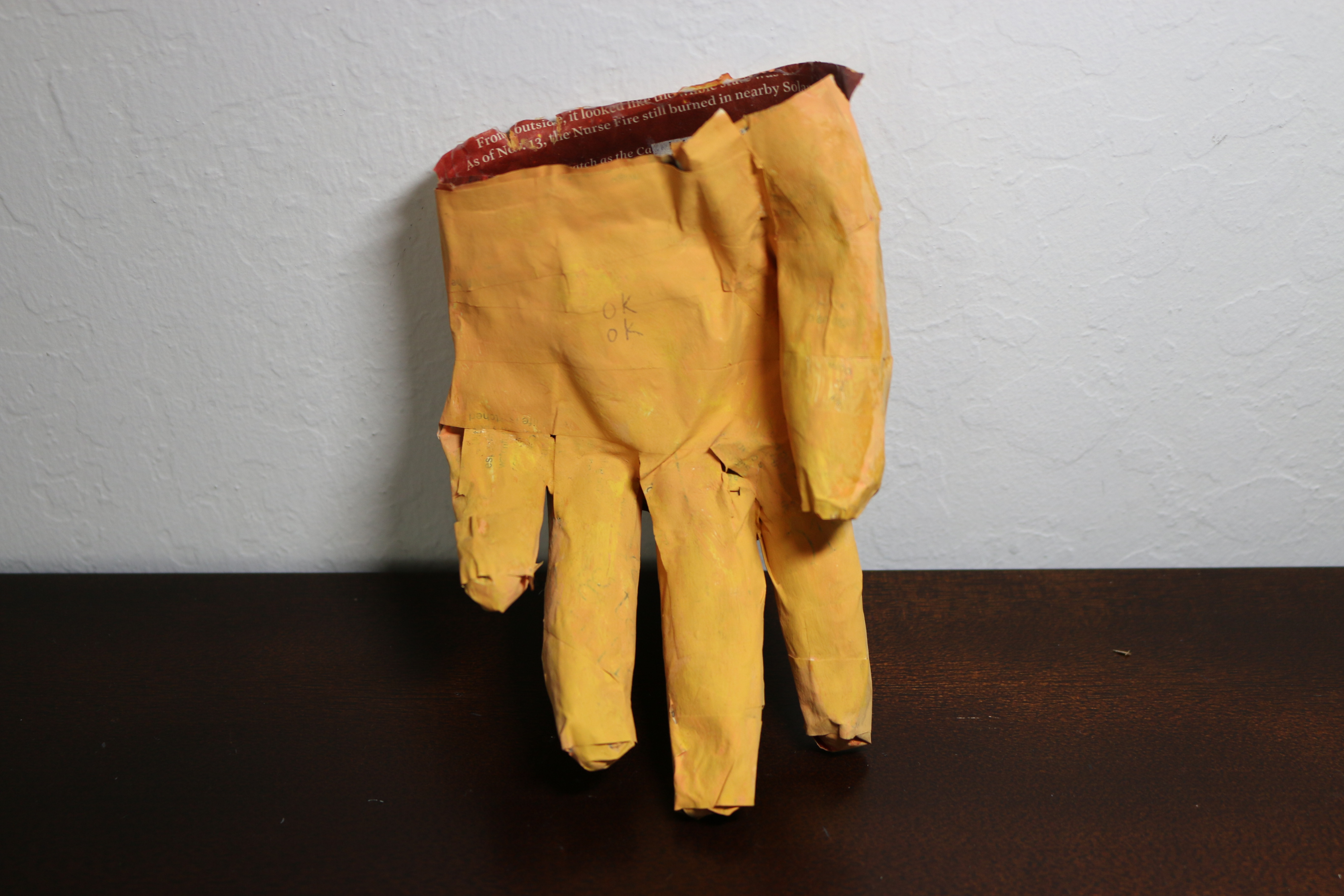 Past Projects / Experiences – Emily Hoang